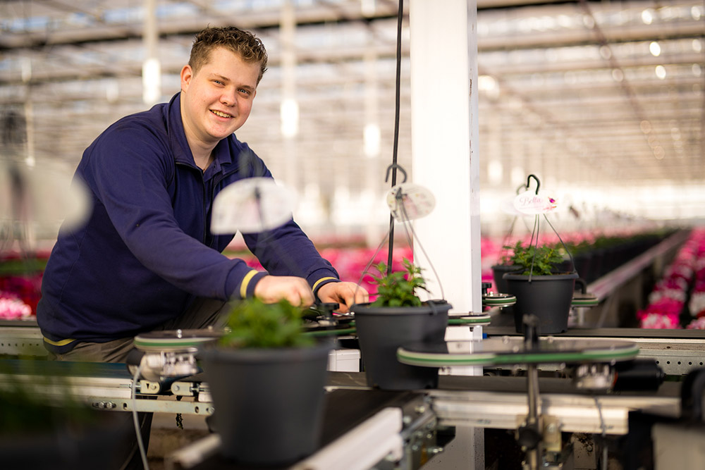 WPS | Time Changing Solutions